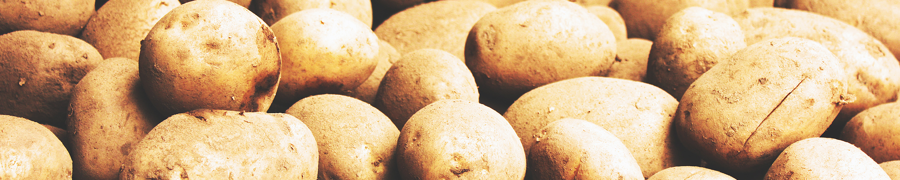 Our Process | Potato Suppliers | Fylde Fresh and Fabulous