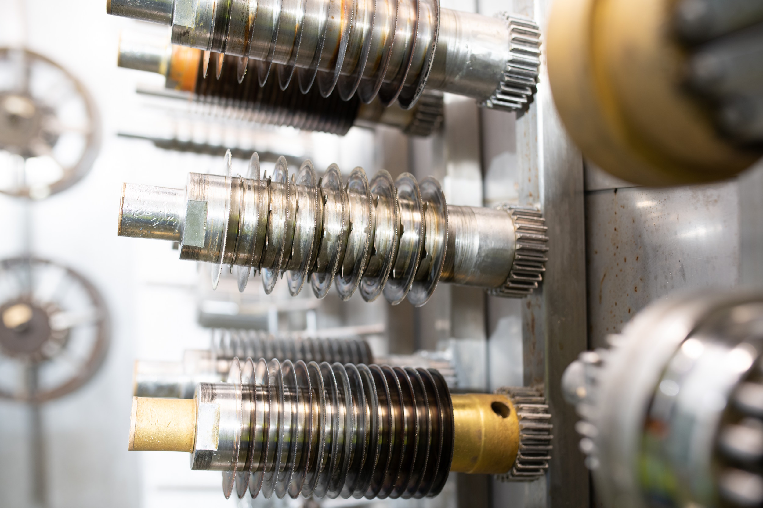 Our Operations Team - Fylde Fresh & Fabulous