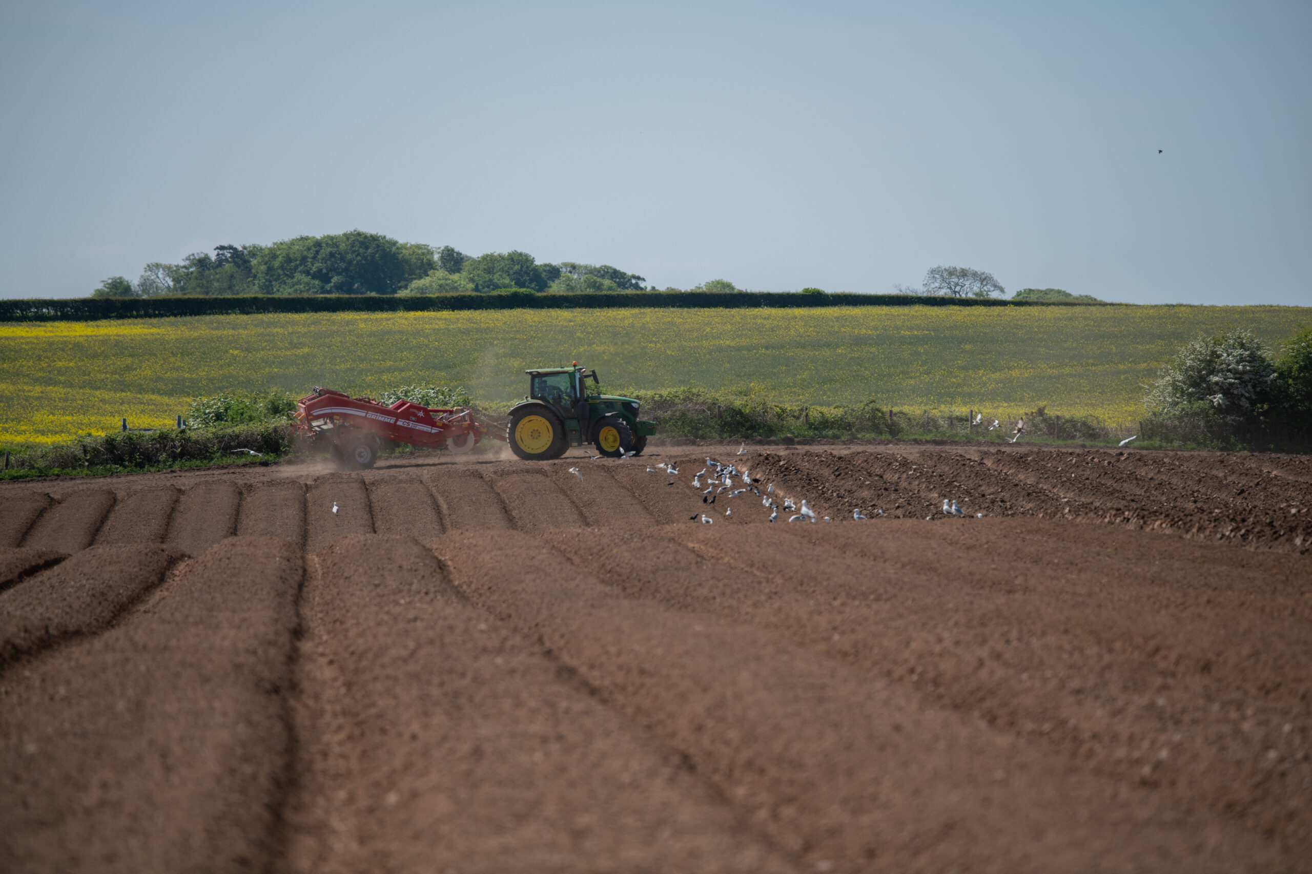 Our Procurement Team - Fylde Fresh & Fabulous