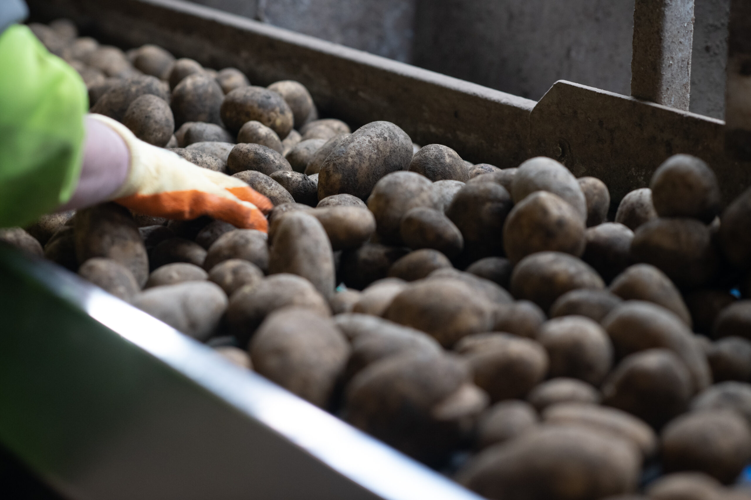 Our Procurement Team - Fylde Fresh & Fabulous