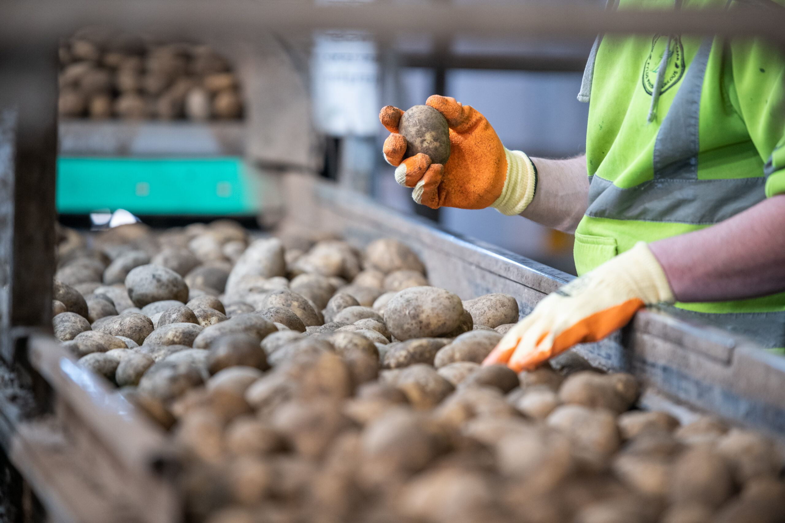 Our Operations Team - Fylde Fresh & Fabulous